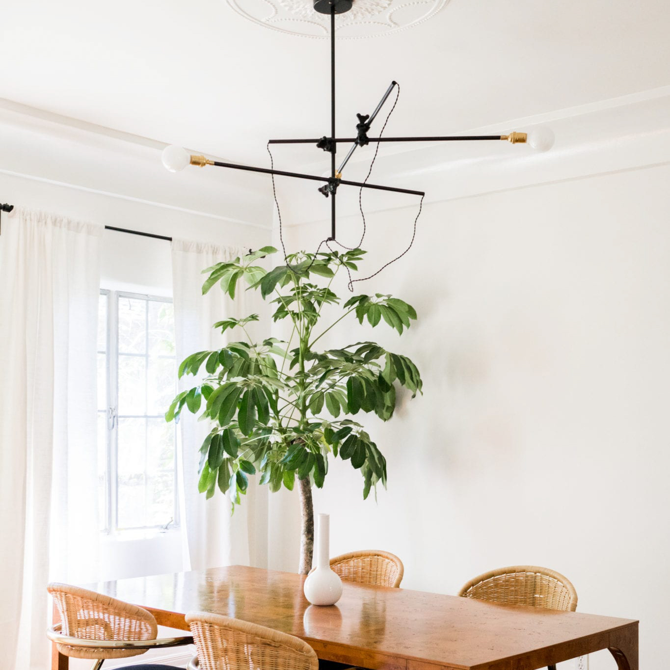 Breathe Easy with BFB Salt Lamp: The Natural Way to Purify Your Air ...