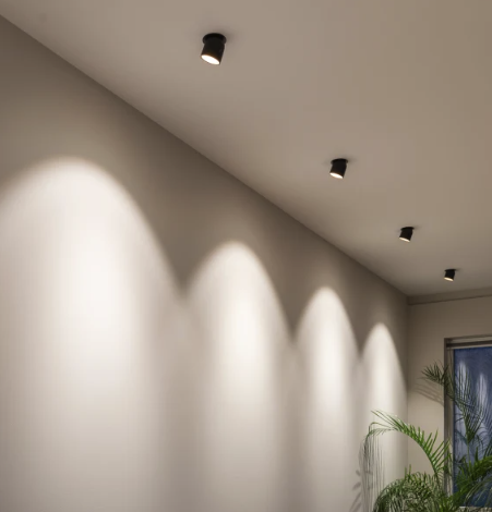 Modern Black Downlight: Industrial Style for Living Room and Corridor ...